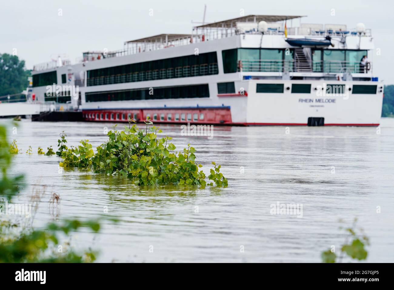 Mannheim, Germany. 14th July, 2021. Riverside plants are washed around ...