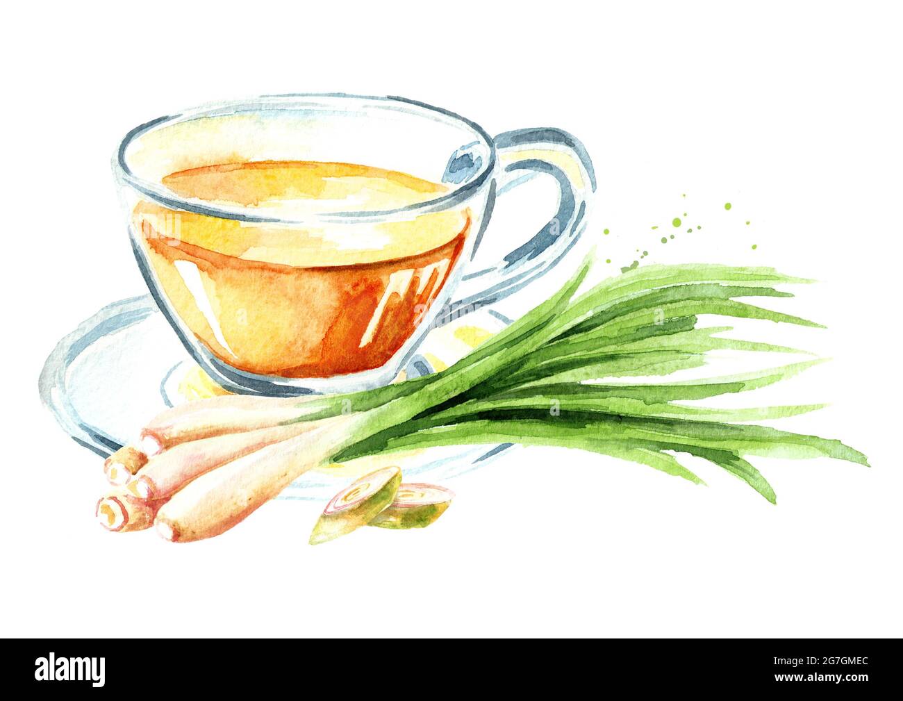Herbal tea with lemongrass. Watercolor hand drawn illustration isolated ...