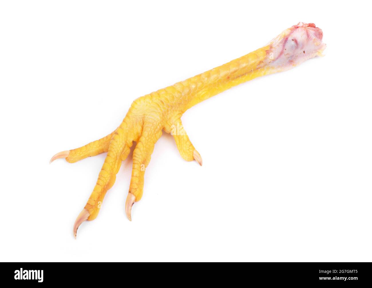 Fresh raw chicken feet or foot chicken paw isolated on white background ...