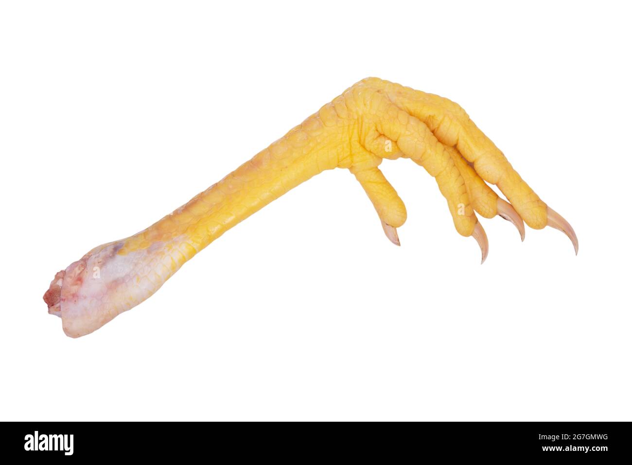 Fresh raw chicken feet or foot chicken paw isolated on white background ...