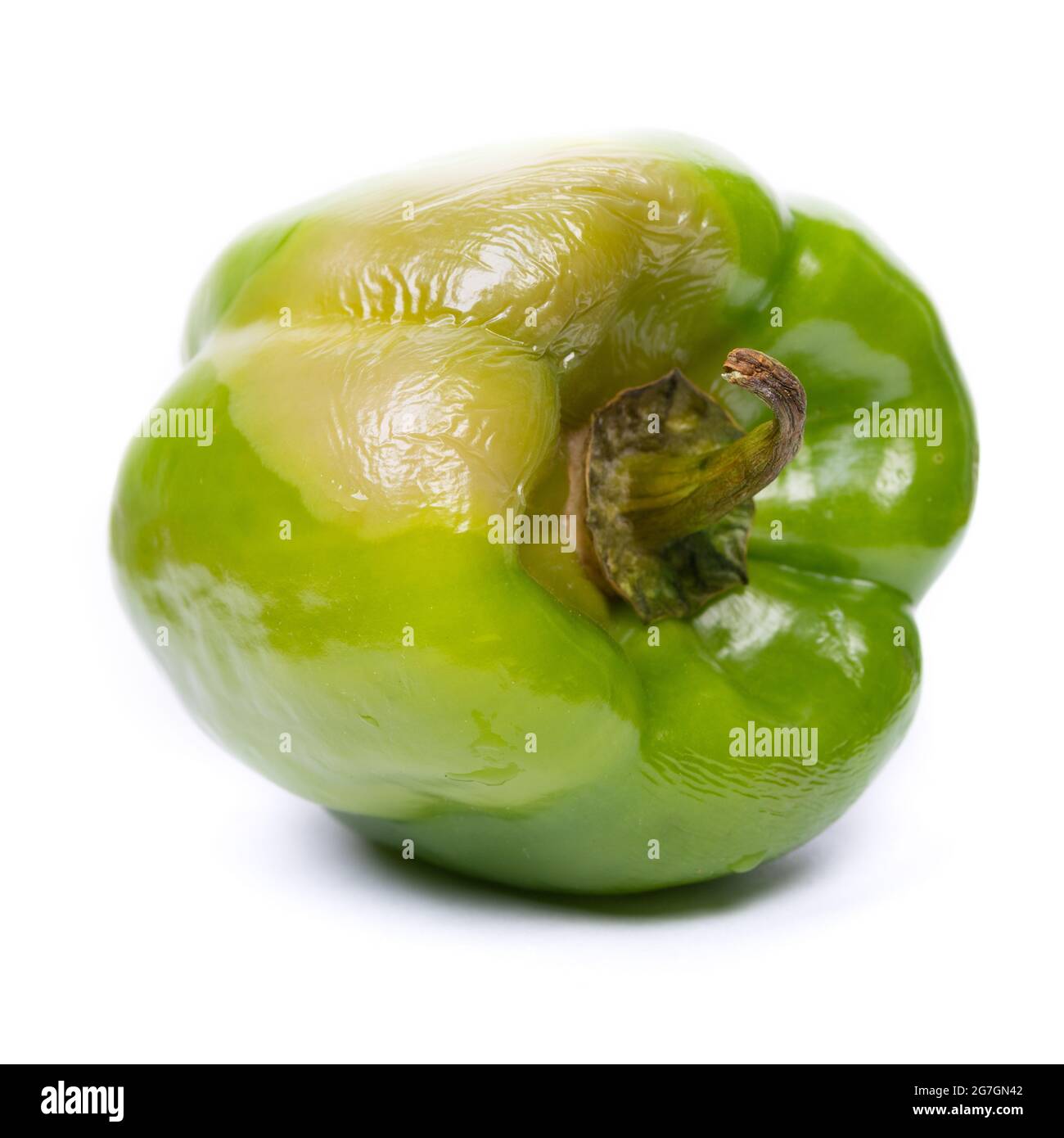 Rotten green bell pepper isolated on white background Stock Photo - Alamy