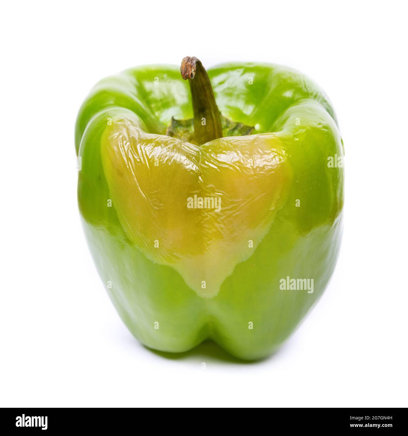 Big rotten green bell pepper isolated over white background Stock Photo ...