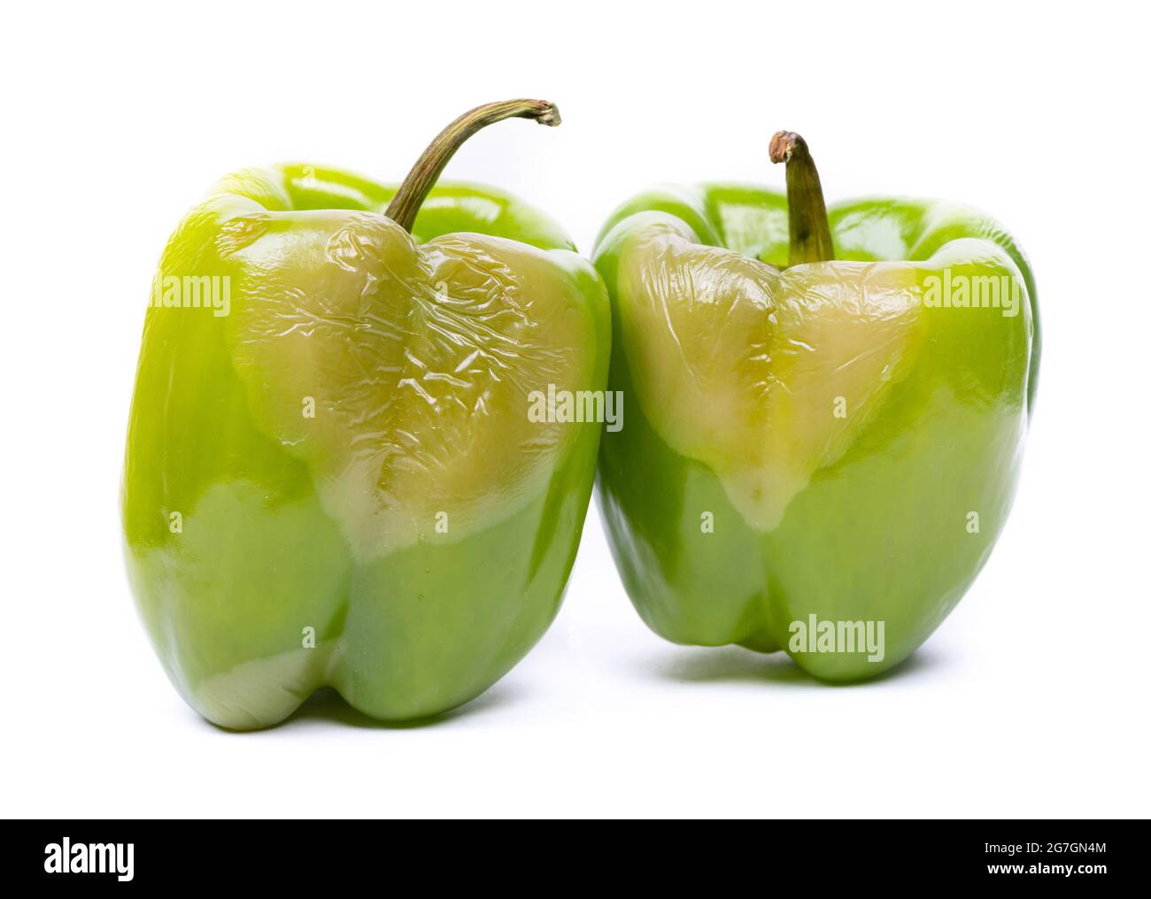 Rotten green bell pepper isolated on white background Stock Photo - Alamy