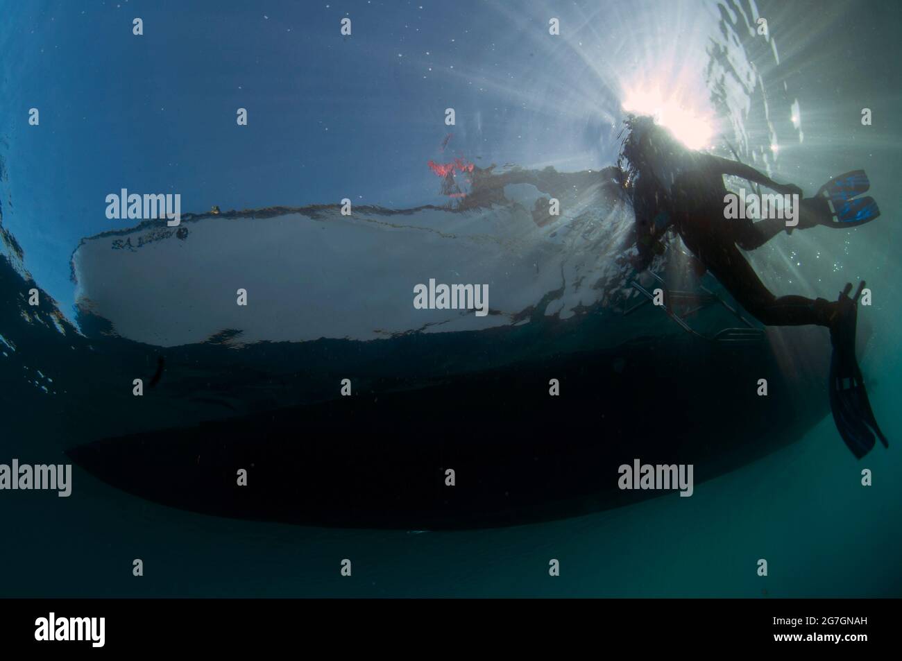 Diver removing fins by boat against sun, Staghorn Crest dive site ...