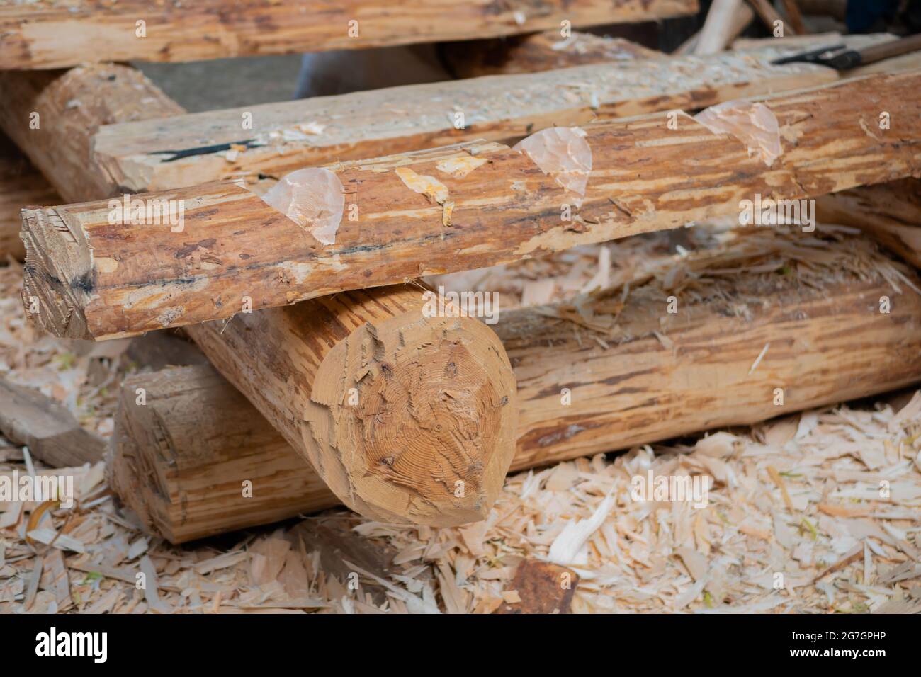 Unfinished rustic log cabin building - outdoor, summer time Stock Photo ...