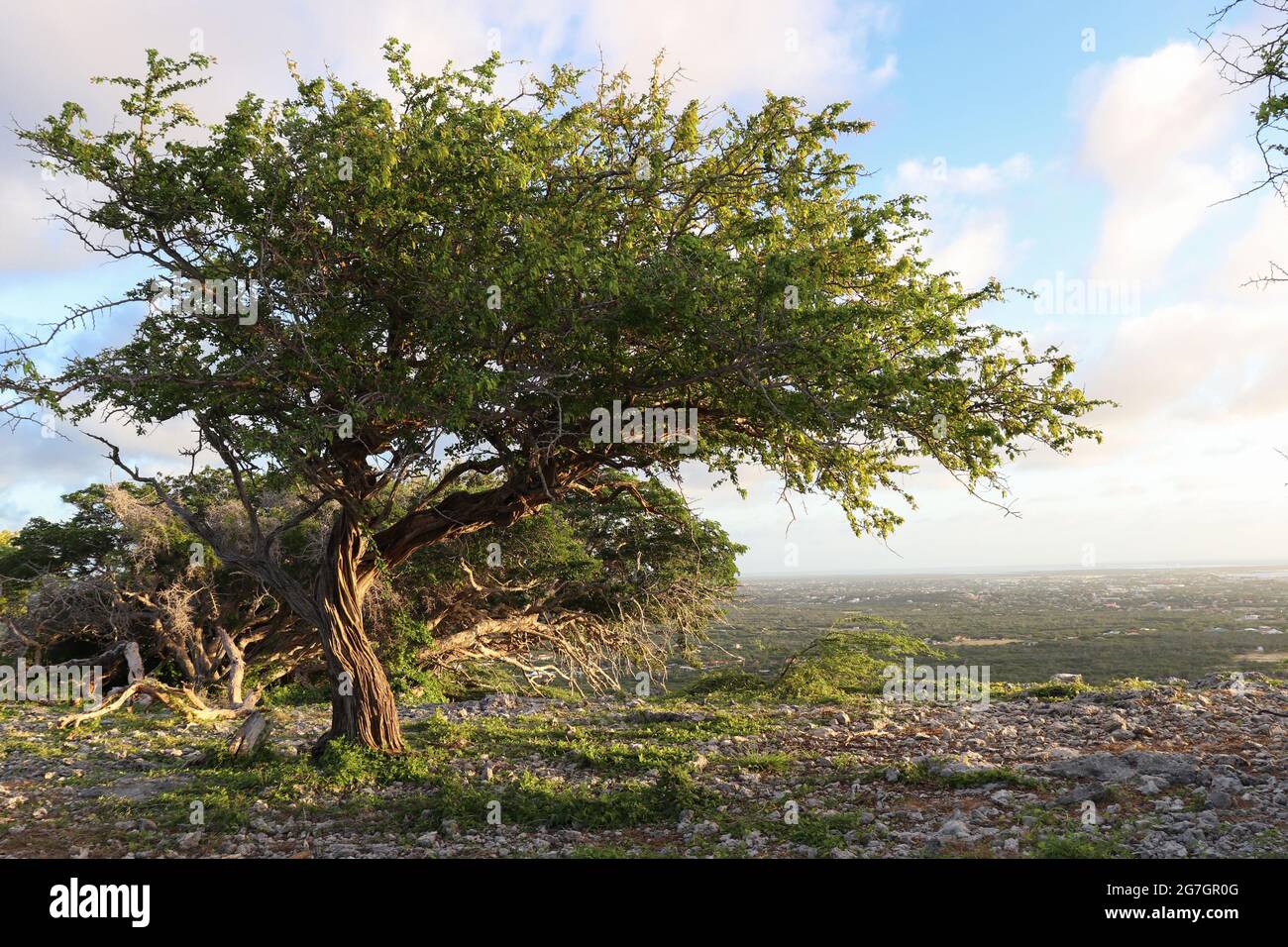 Divi day hi-res stock photography and images - Alamy