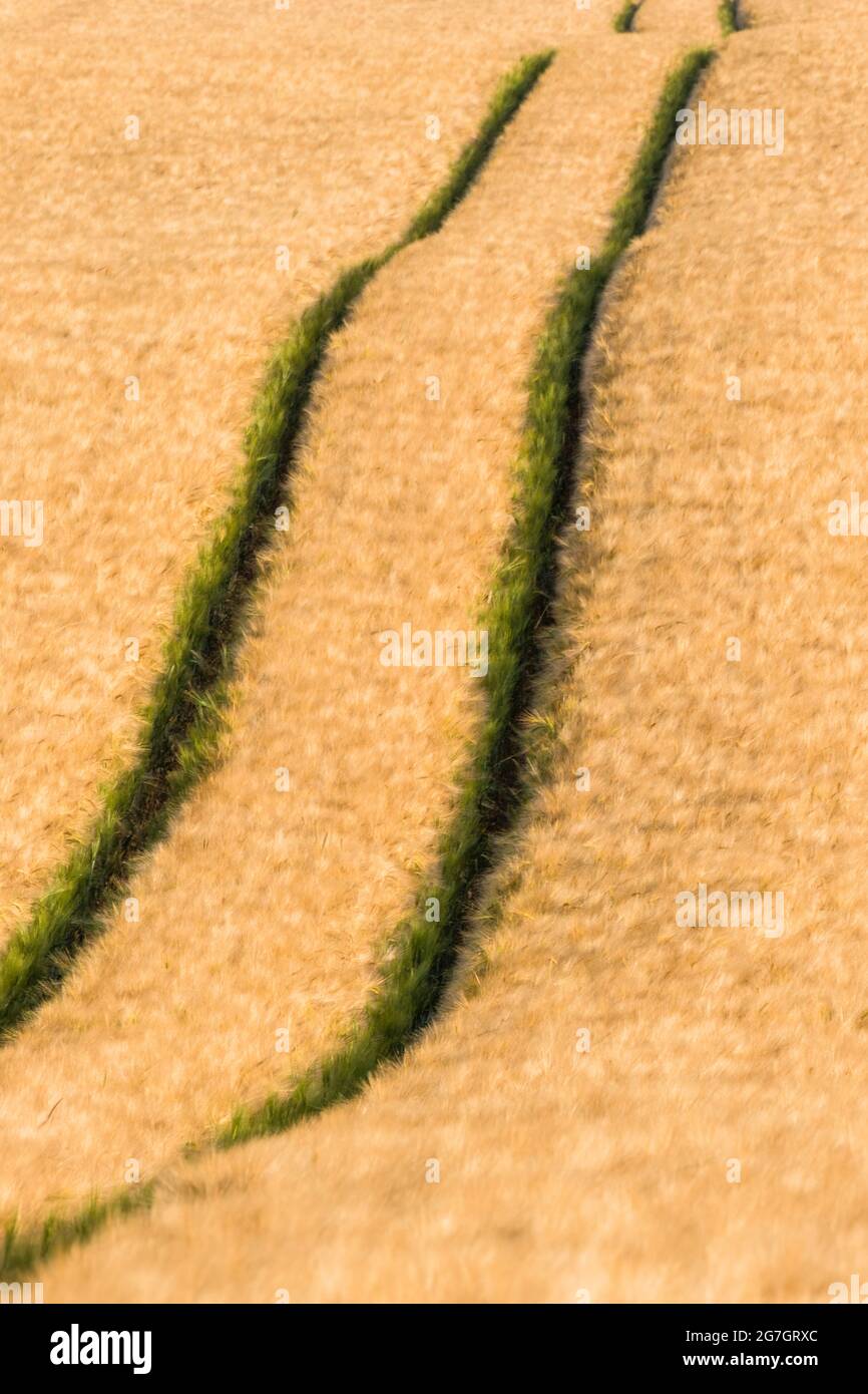 Barley tractor hi-res stock photography and images - Alamy