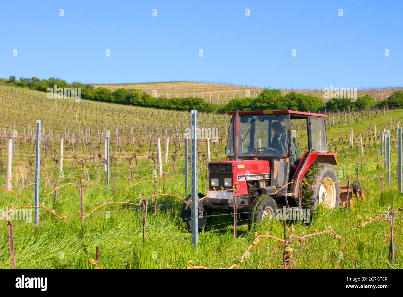 Tractor in vineyard winery hi-res stock photography and images - Alamy