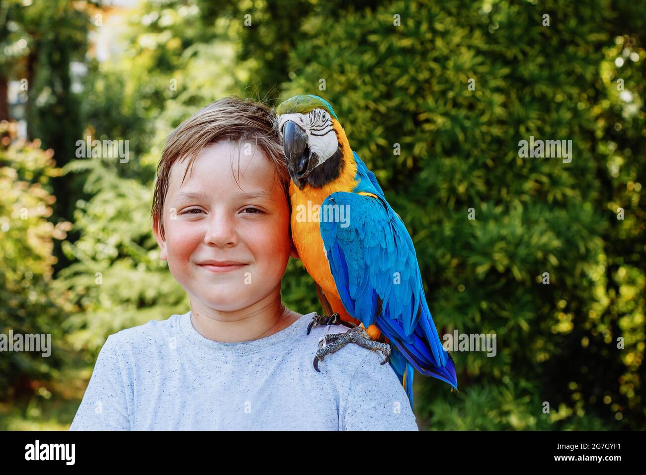 Boy With Parrot High Resolution Stock Photography and Images - Alamy