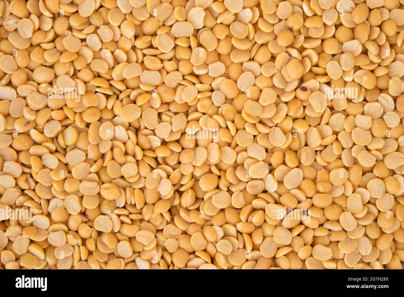 Lens shaped seeds hi-res stock photography and images - Alamy
