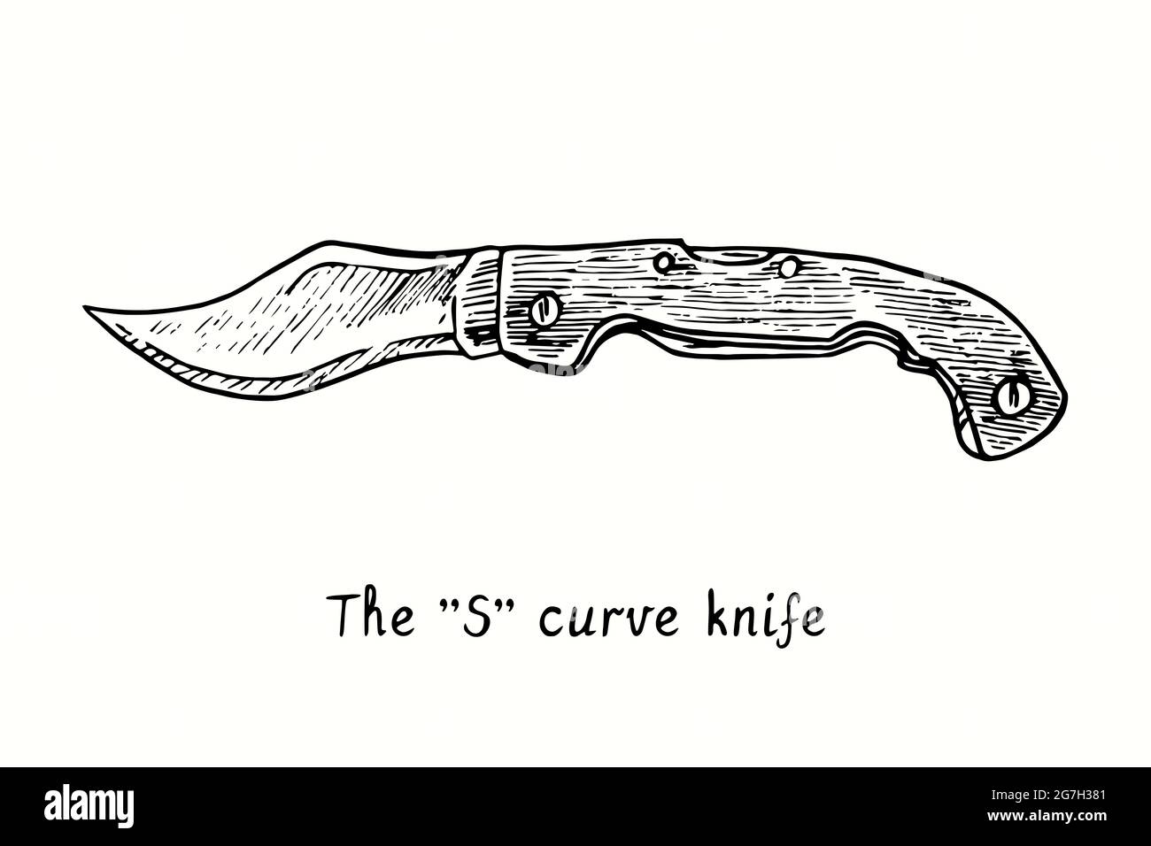The "S" curve knife type. Ink black and white drawing outline ...