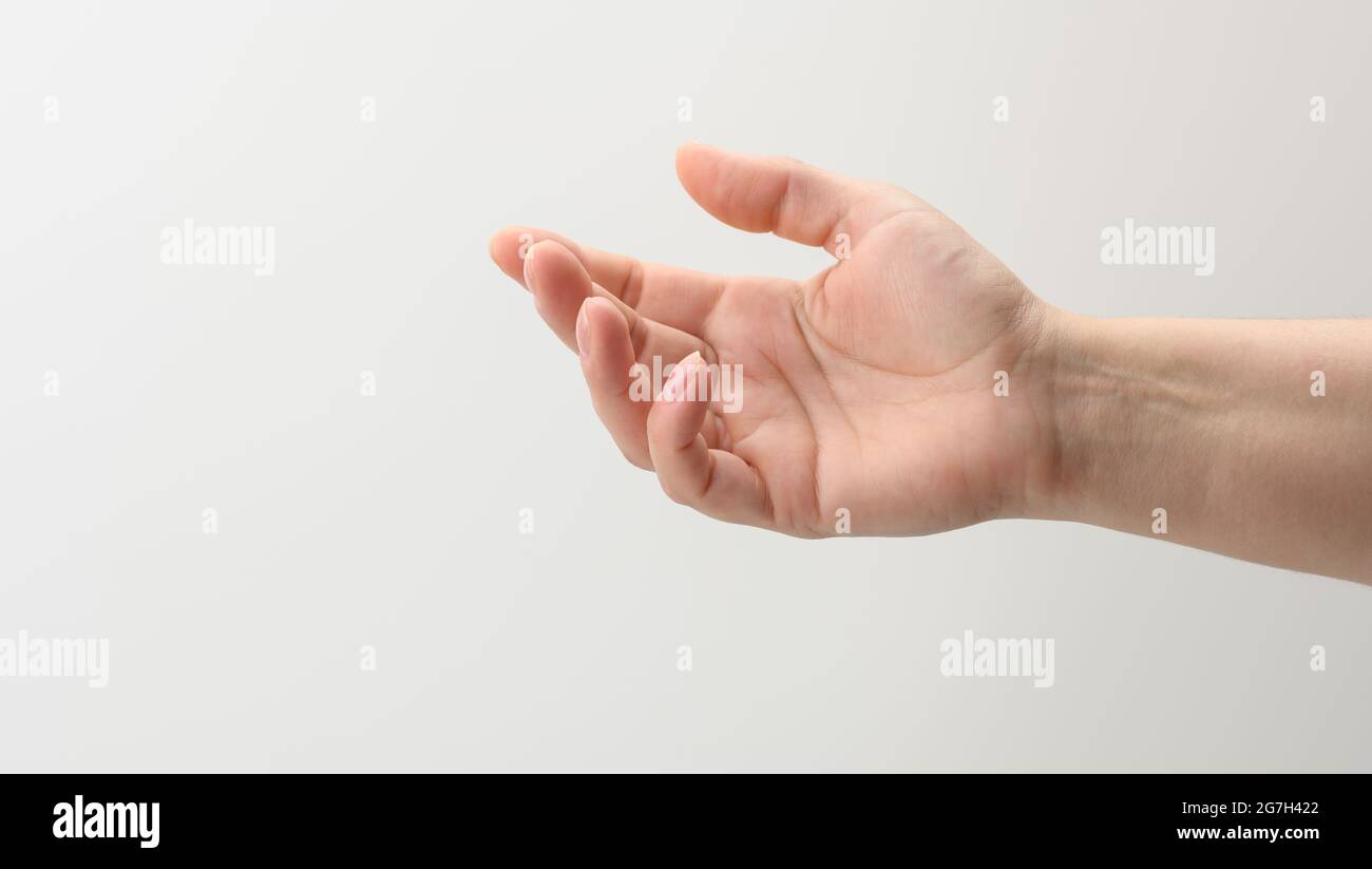 female hand extended forward with open empty palm on white background ...
