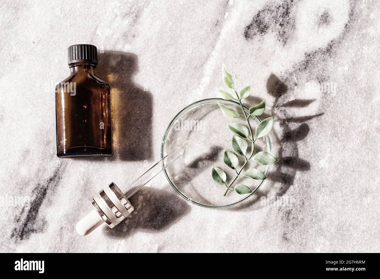 Glass petri dish with transparent pure serum for skin care Stock Photo ...