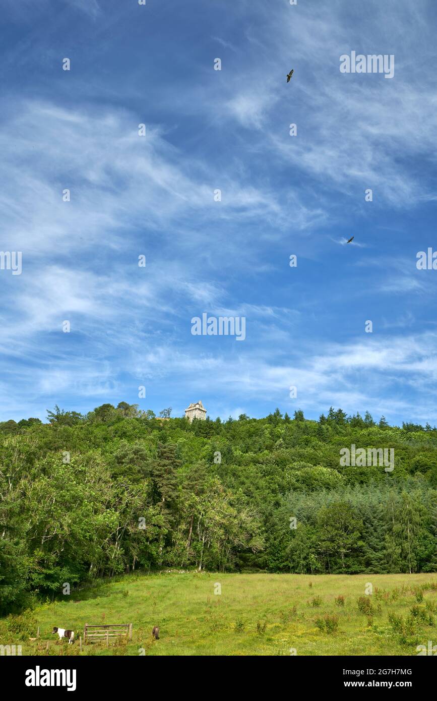 Fatlips castle hi-res stock photography and images - Alamy