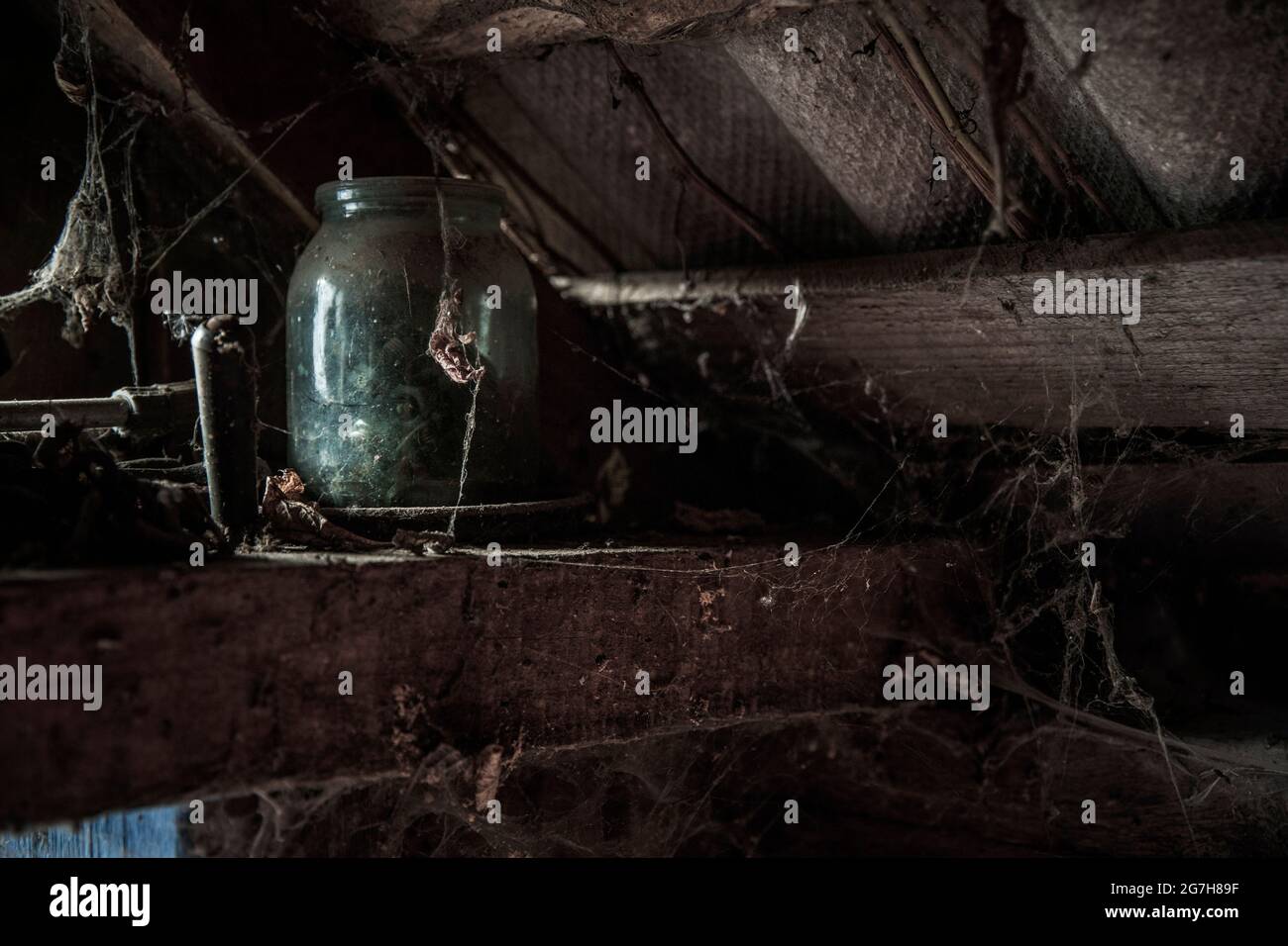 Spider cellar cobweb hi-res stock photography and images - Alamy