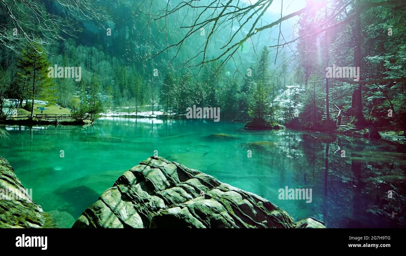 A pond inside the woods surrounded by trees and rocks Stock Photo - Alamy