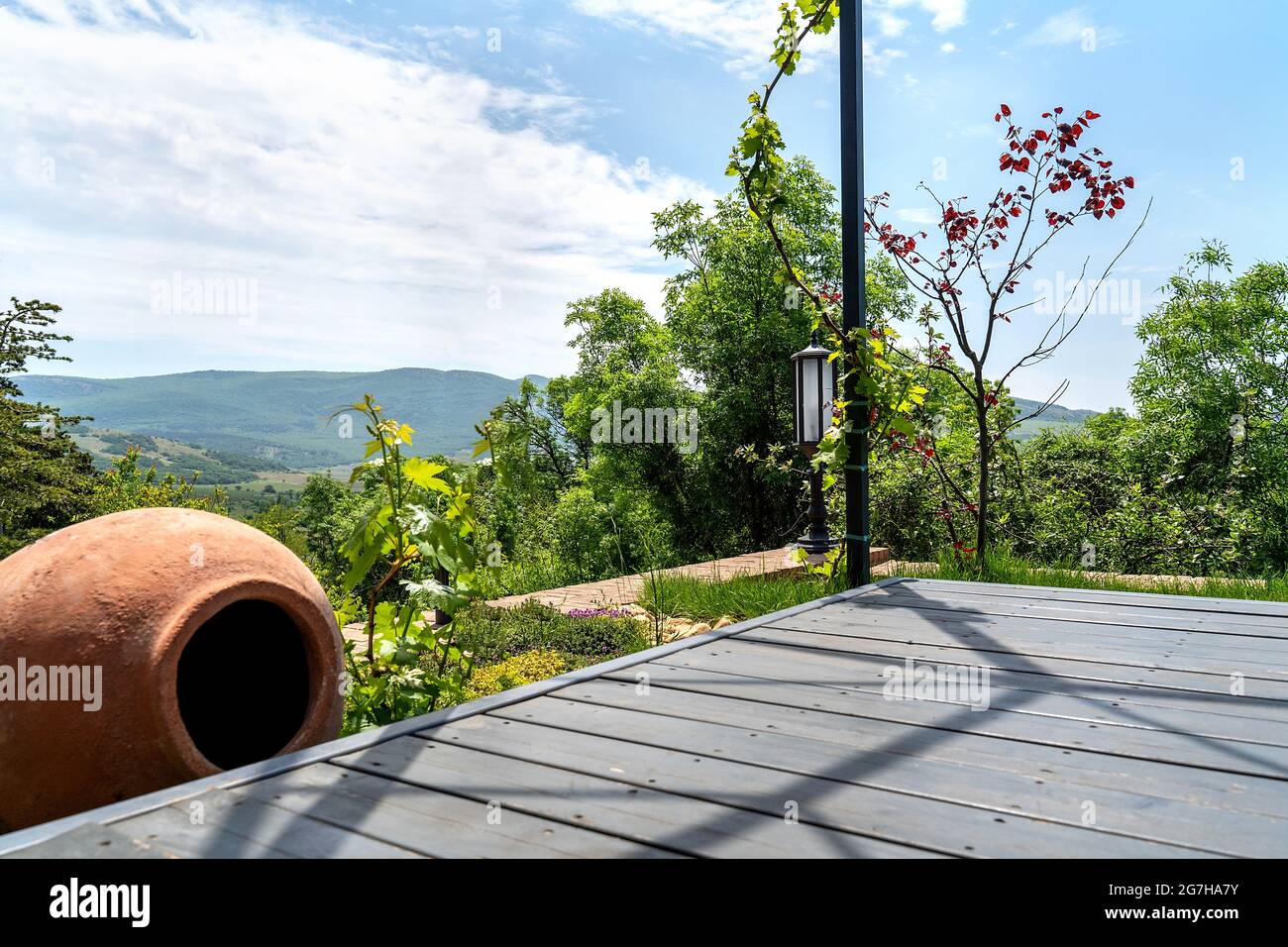 Beautiful veranda with climbing vine and mountain view on a beautiful ...