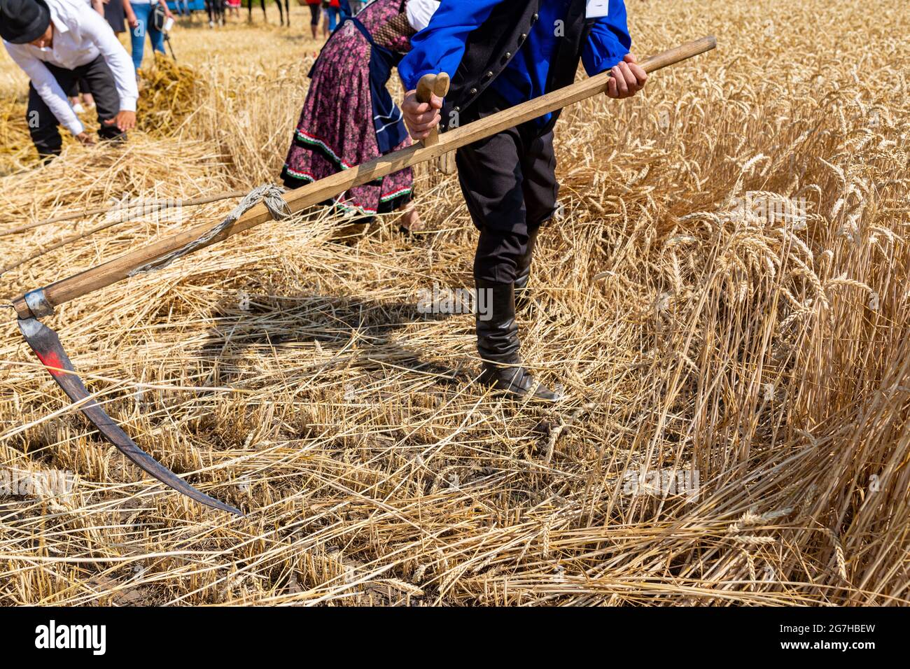 Harvest in the traditional way in rural Eastern Hungary Stock Photo - Alamy
