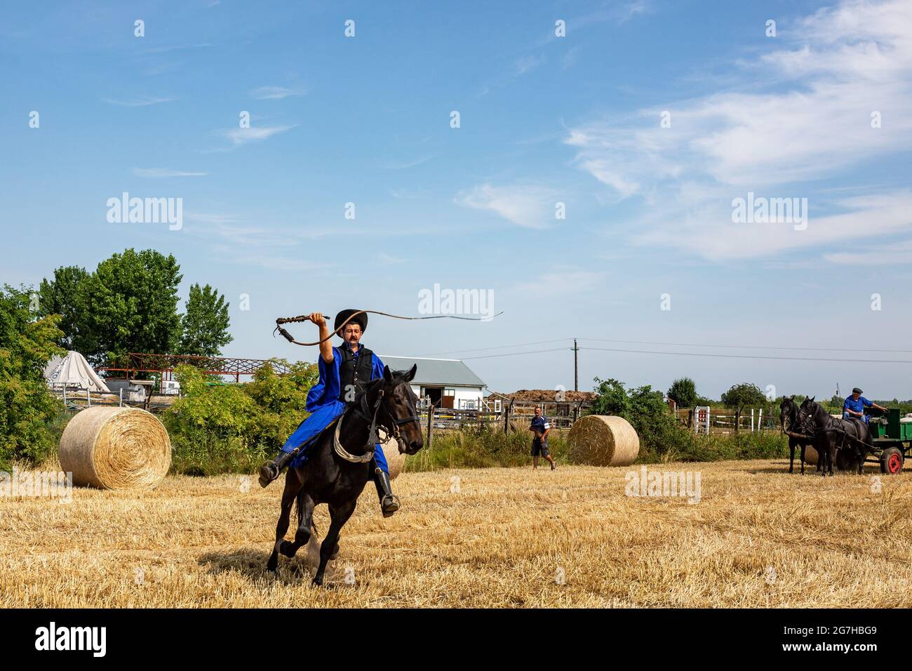 Harvest in the traditional way in rural Eastern Hungary Stock Photo - Alamy