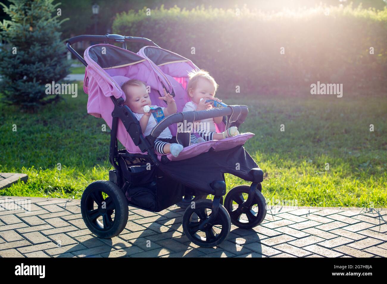 Identical little girls of 6 months of age in baby carriage on a summer ...