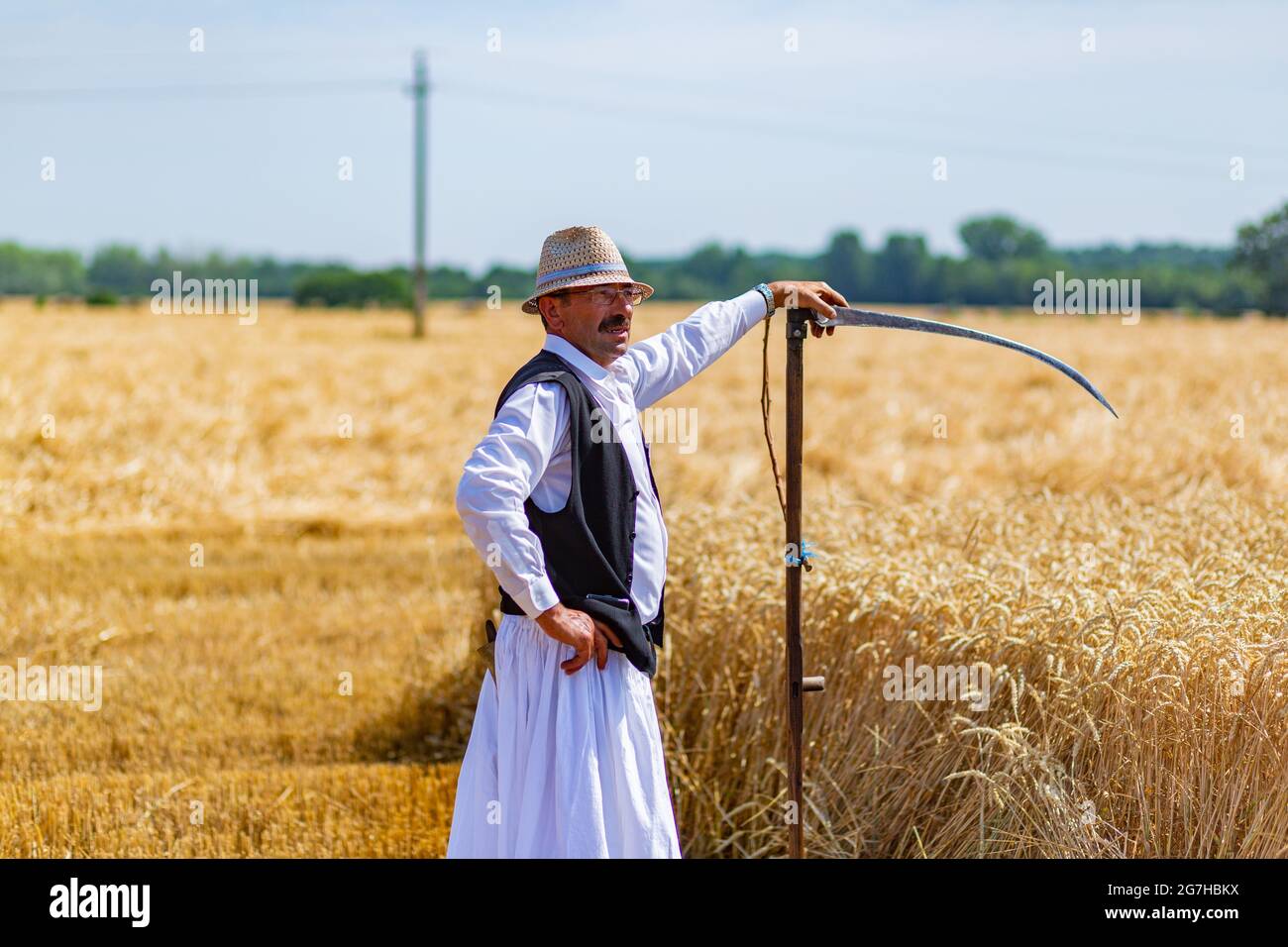 Harvest in the traditional way in rural Eastern Hungary Stock Photo - Alamy