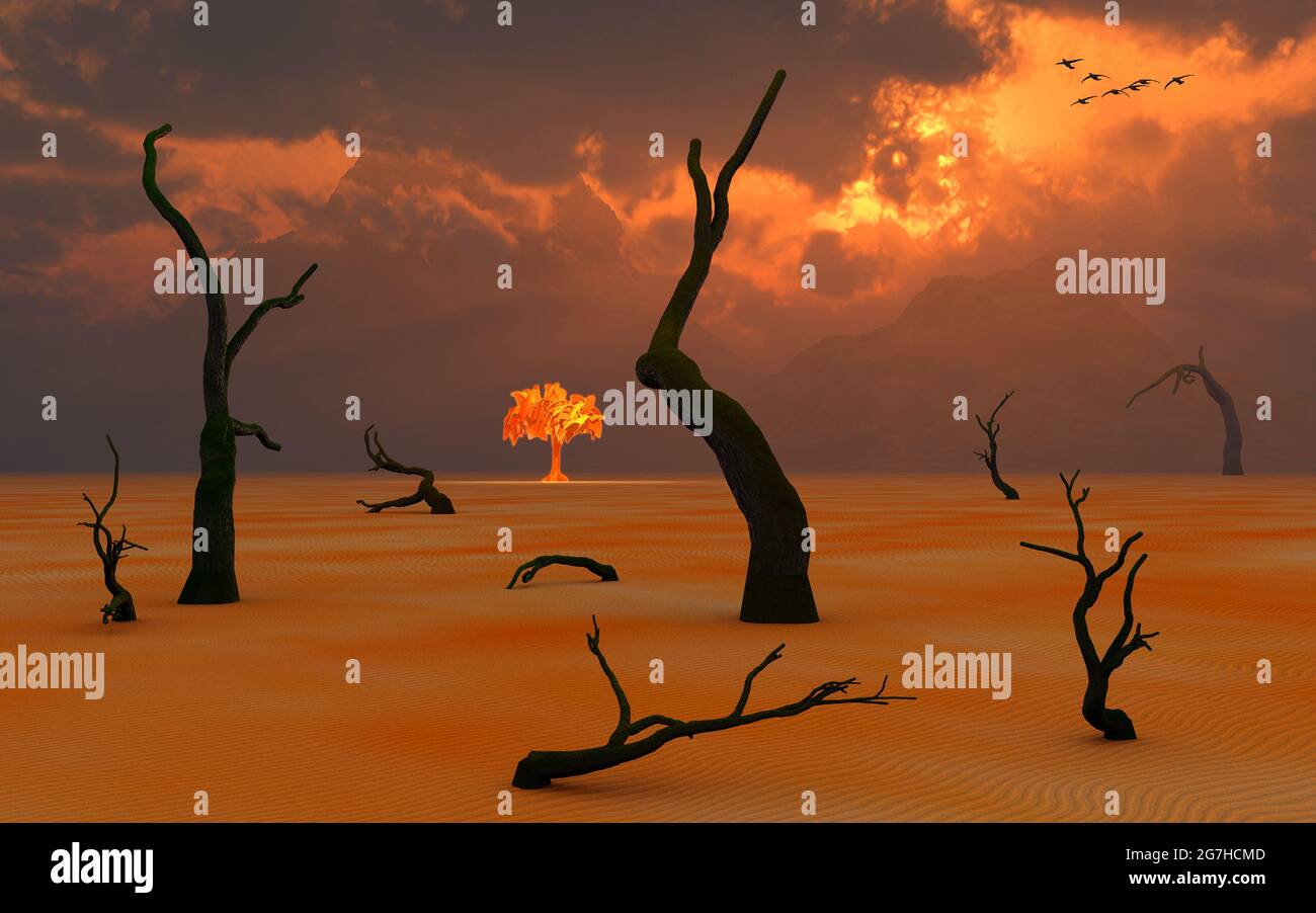 The tree of life death eden hi-res stock photography and images - Alamy