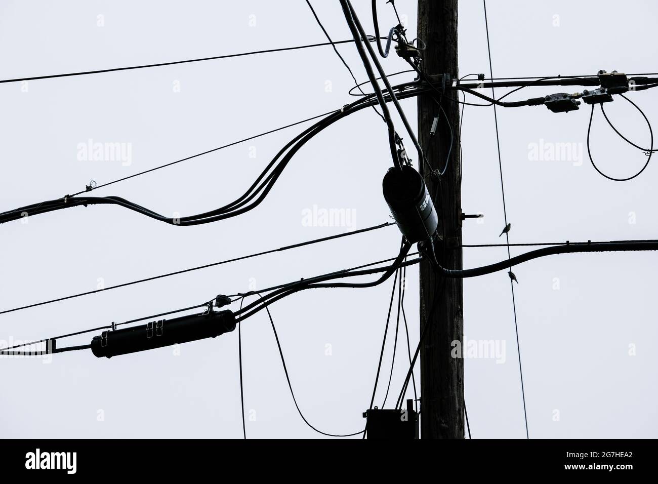 Telephone poles and wires hi-res stock photography and images - Alamy