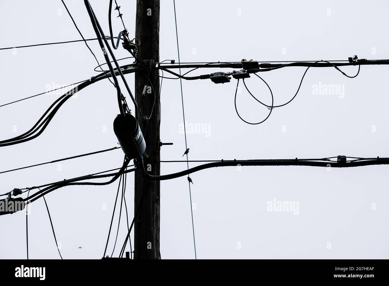 Telephone poles and wires hi-res stock photography and images - Alamy