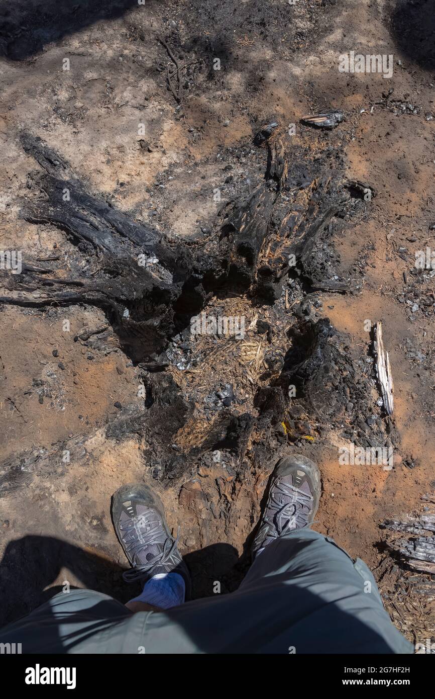 Lodgepole complex fire hi-res stock photography and images - Alamy