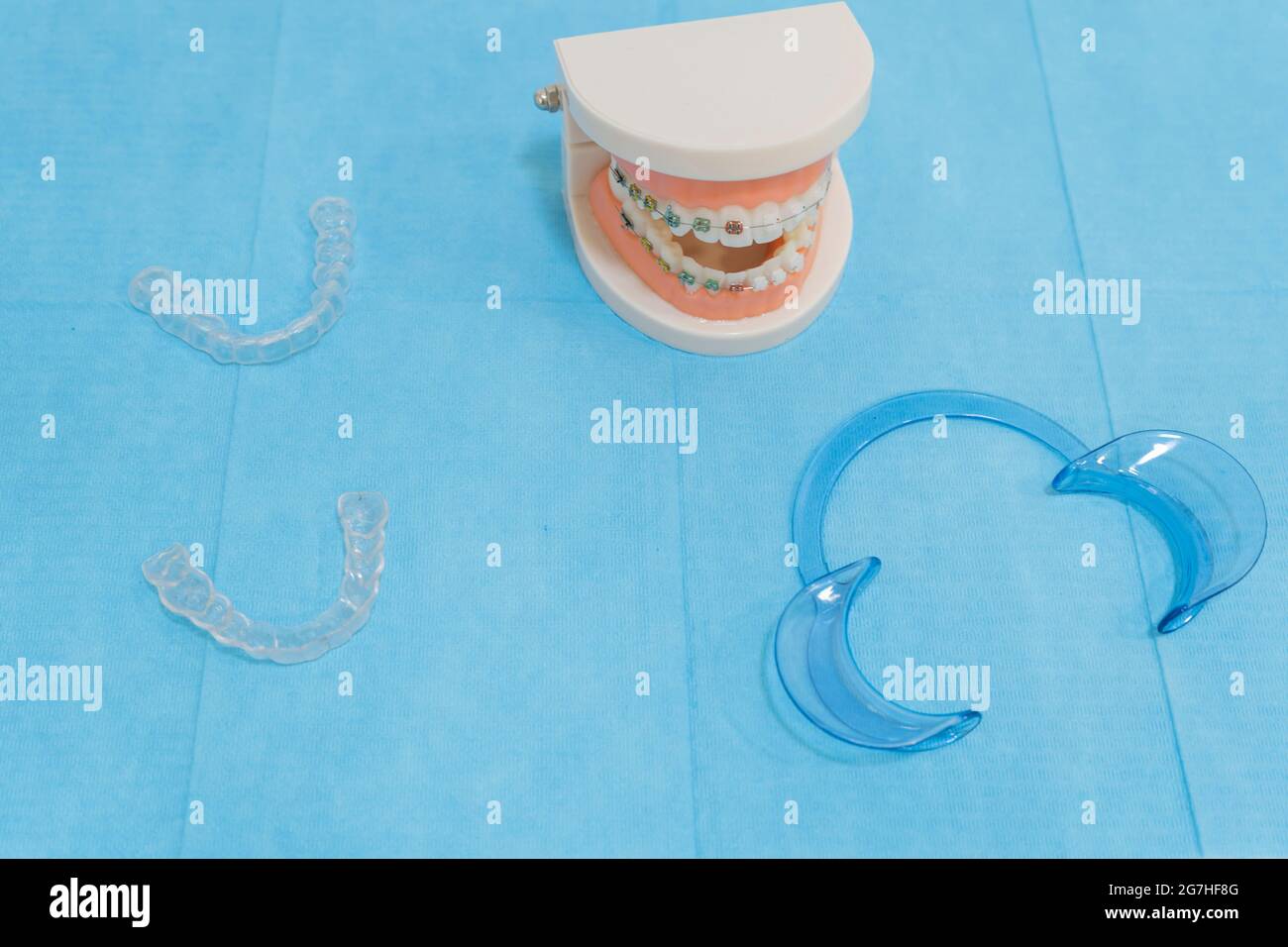 Orthodontic teeth model professional dentist hi-res stock photography ...