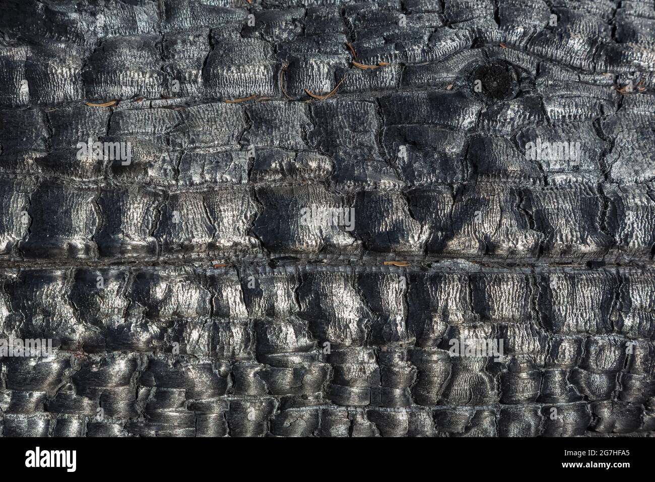 Lodgepole complex fire hi-res stock photography and images - Alamy