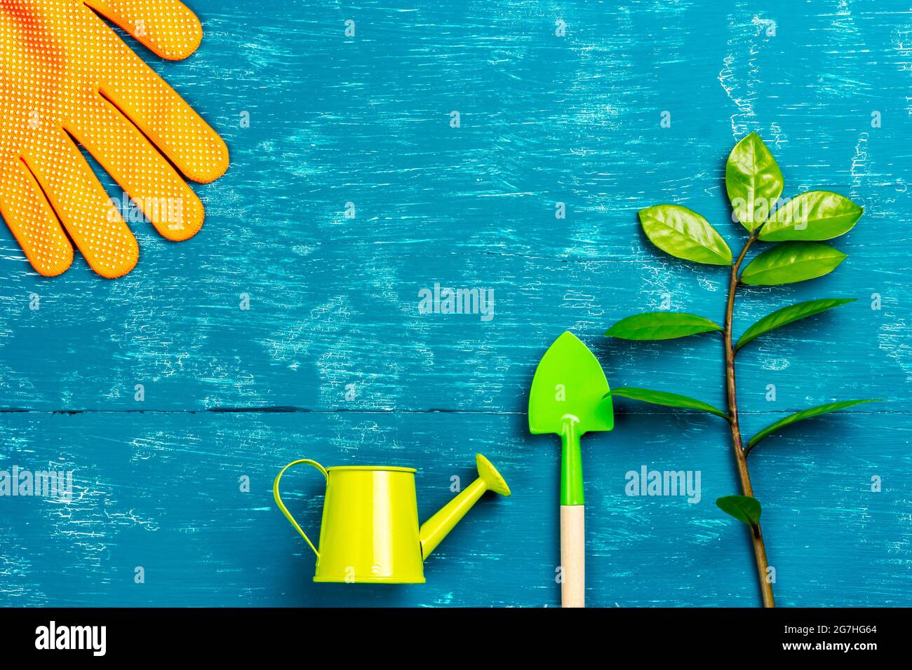 Gardening tools on a green background. Gardening, plant care Stock ...