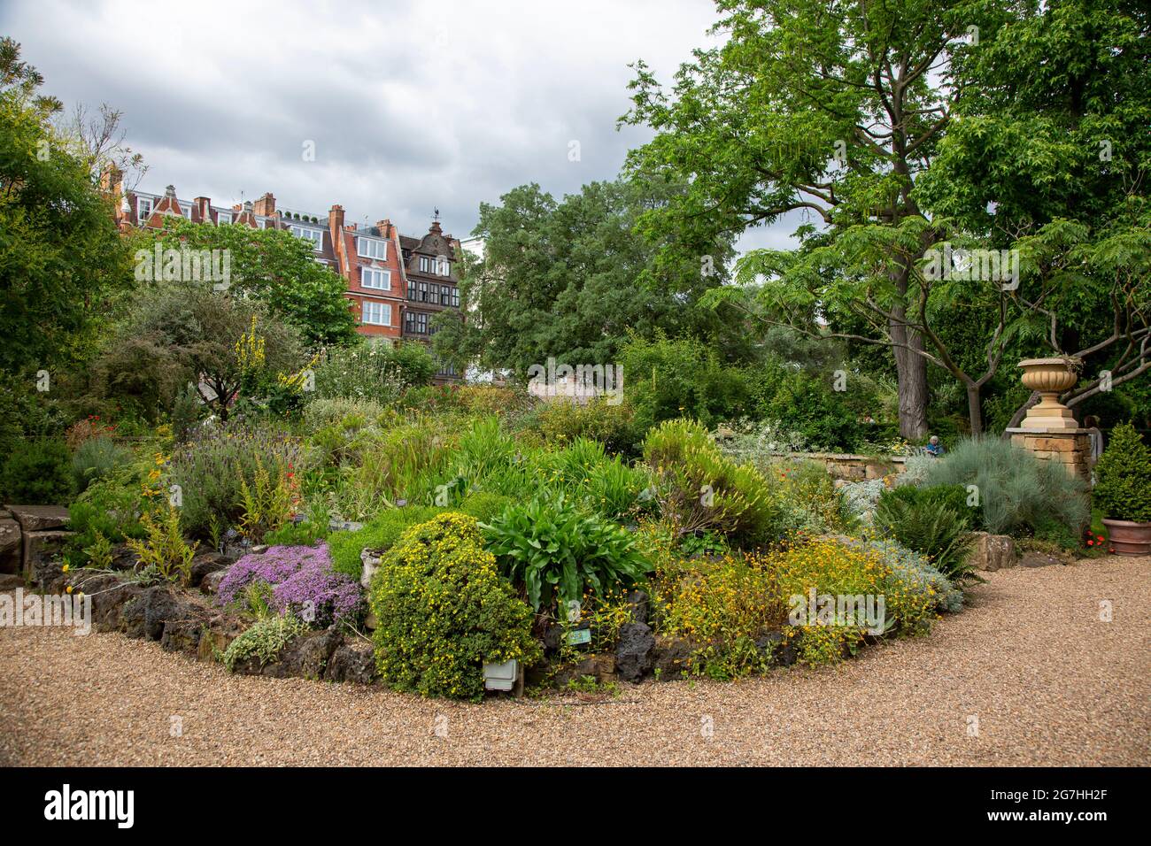 The rock garden at the Chelsea Physic Garden is the oldest in Europe ...