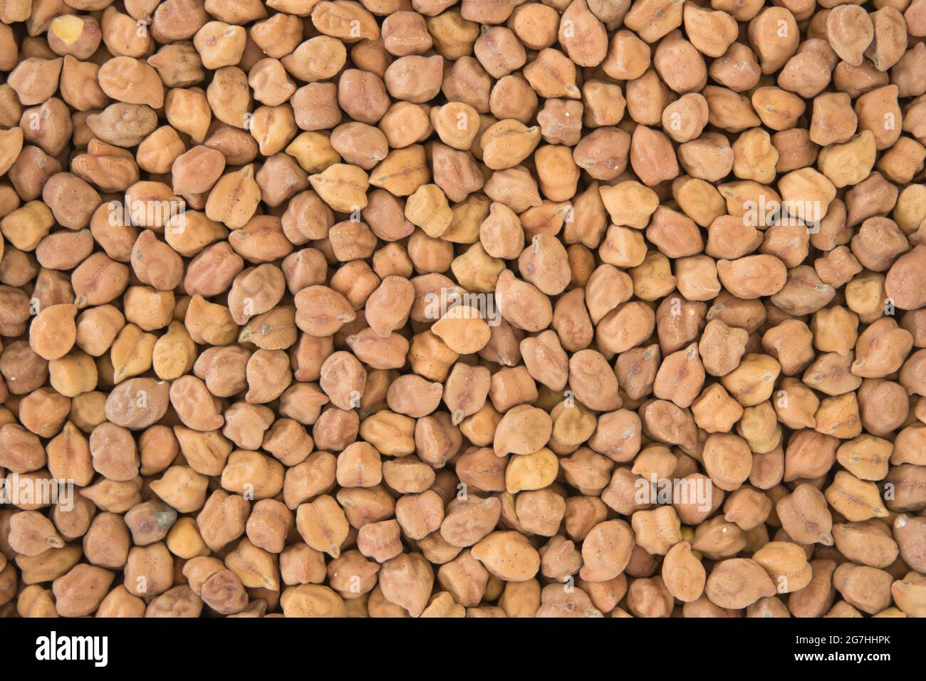 Raw Dal or lentil is an edible legume Stock Photo - Alamy