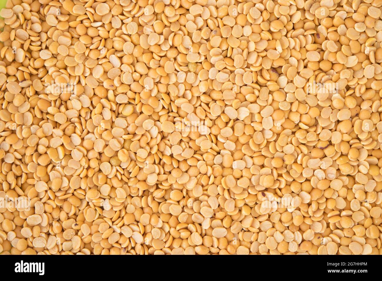 Lens shaped seeds hi-res stock photography and images - Alamy