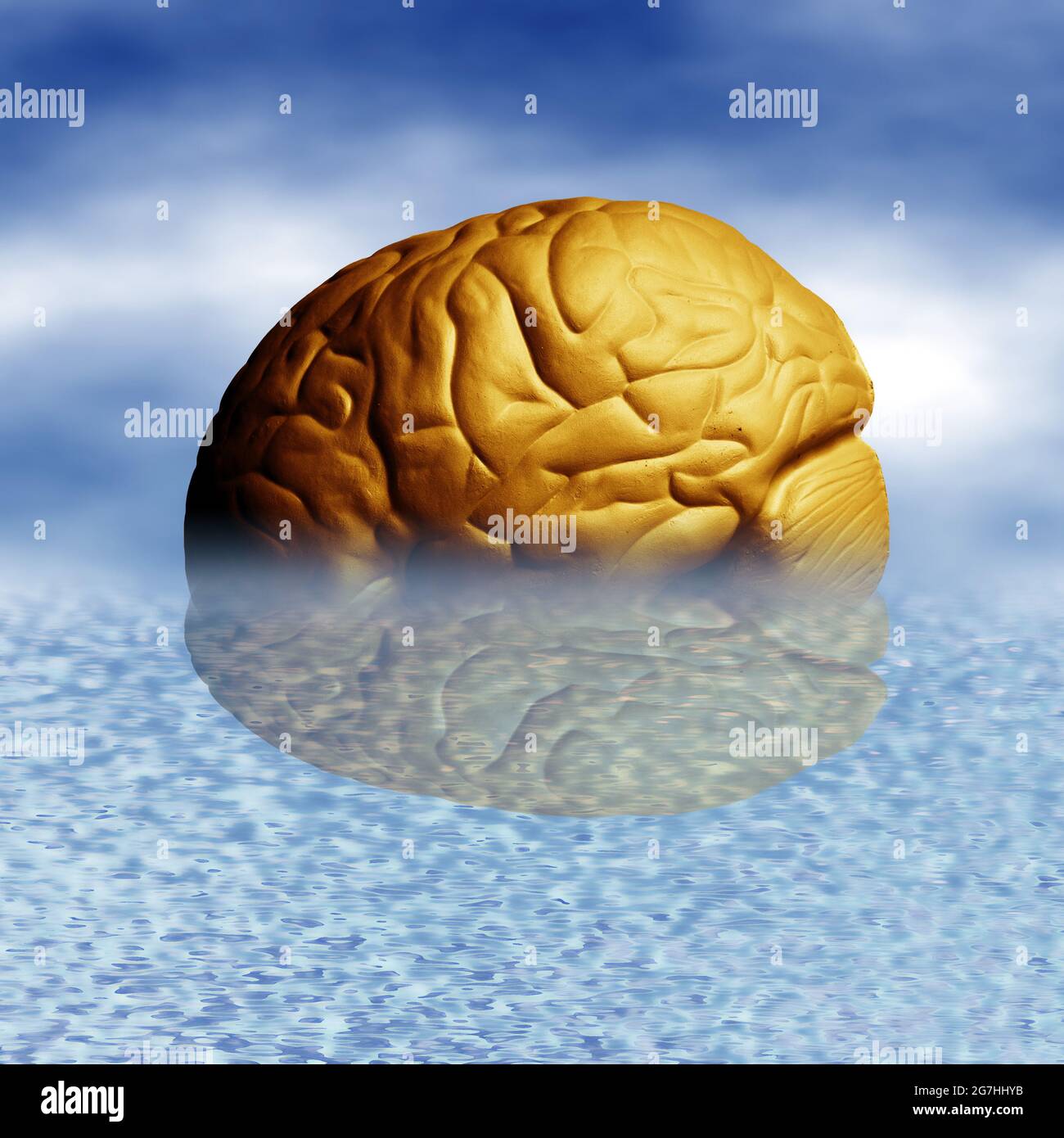 Human Brain Water High Resolution Stock Photography and Images - Alamy