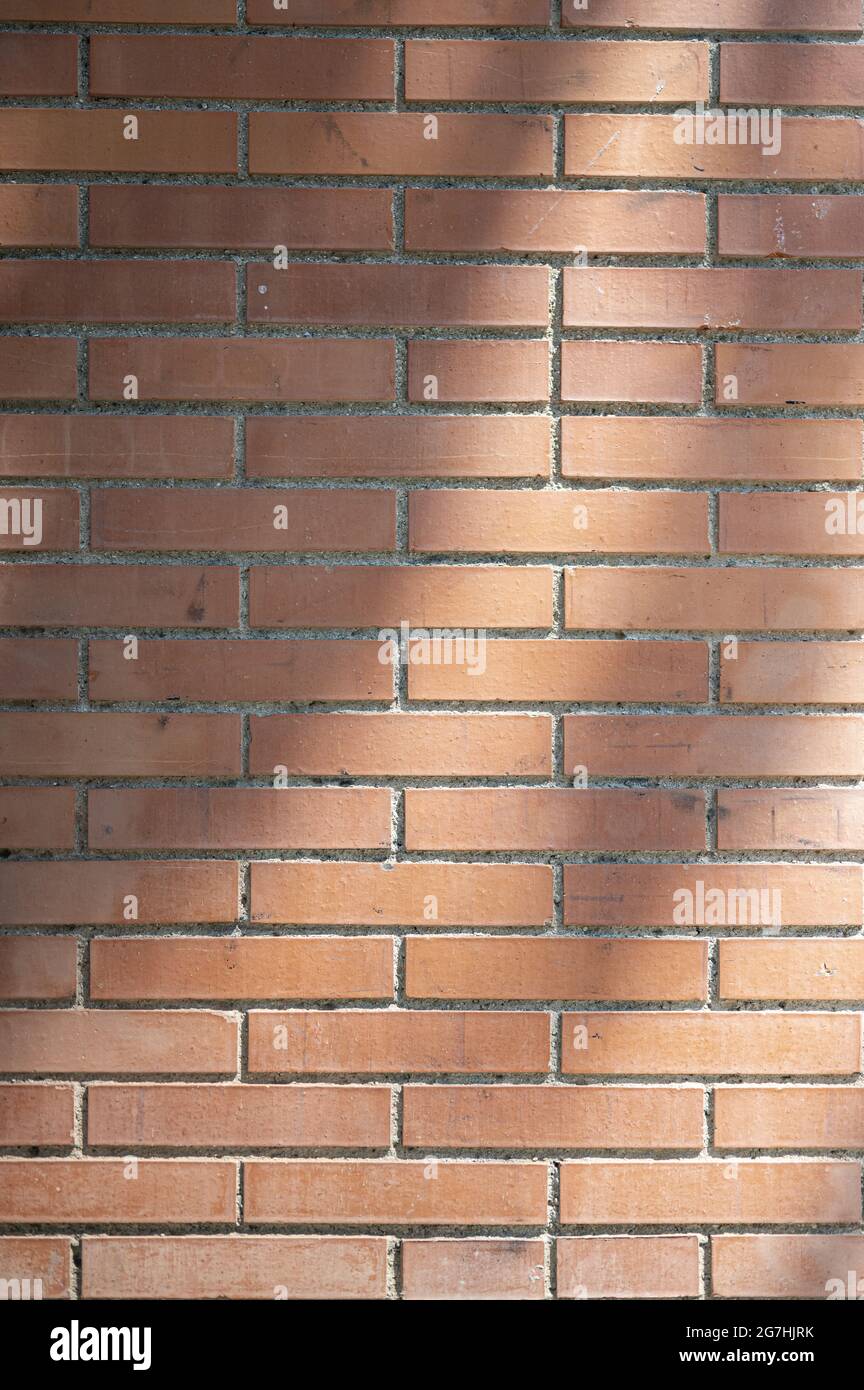 Vertical shot of a brick wall under the sunlight - great for textures ...