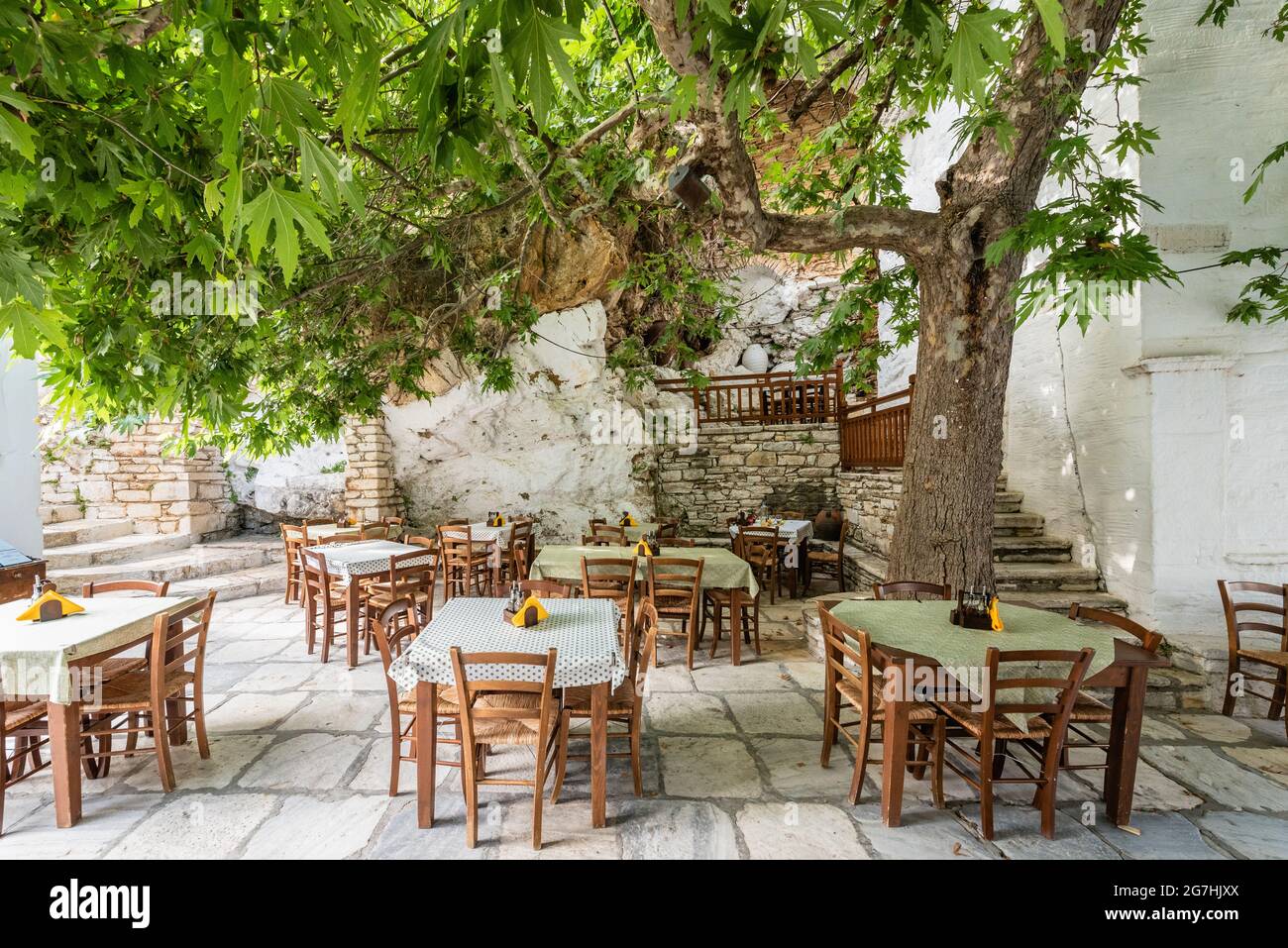 Empty tables of a restaurant under a tree, in a picturesque ...