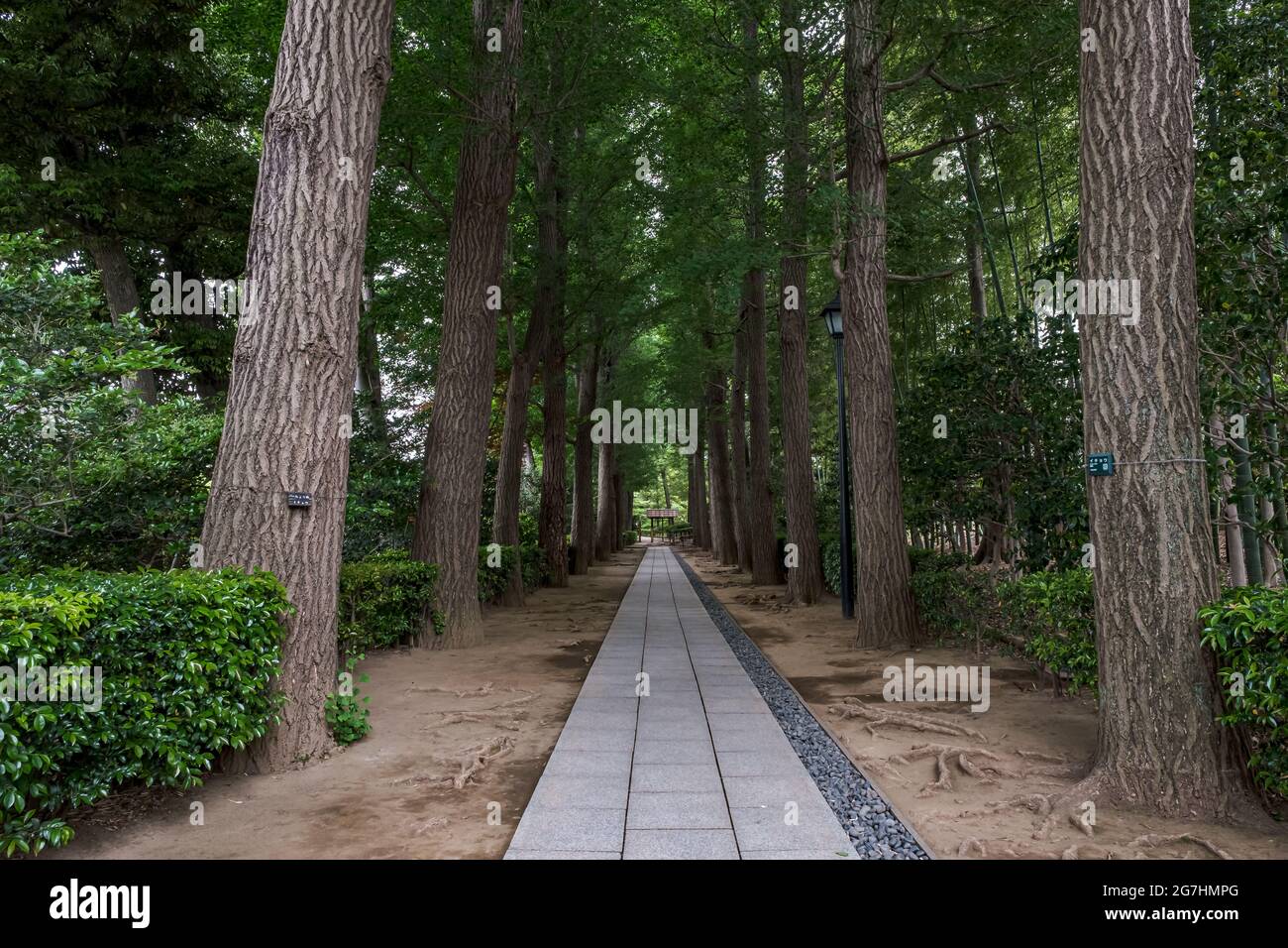 Where does this path go Stock Photo - Alamy