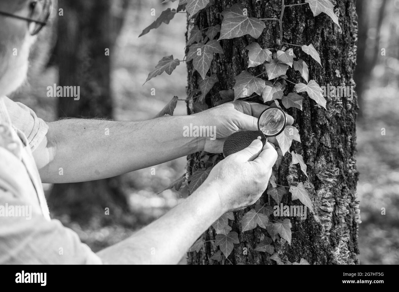 Botany research device Black and White Stock Photos & Images - Alamy