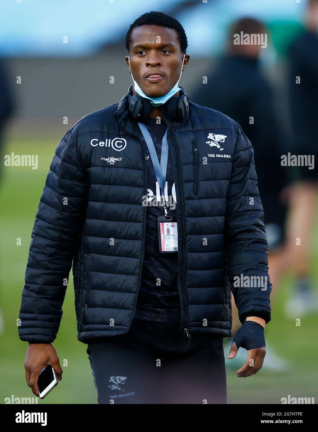 Lions series 2021 hi-res stock photography and images - Alamy