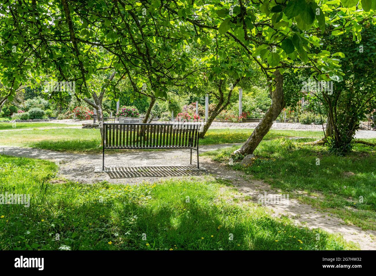 A bench under trees and a garden in Seatac, Washington Stock Photo - Alamy