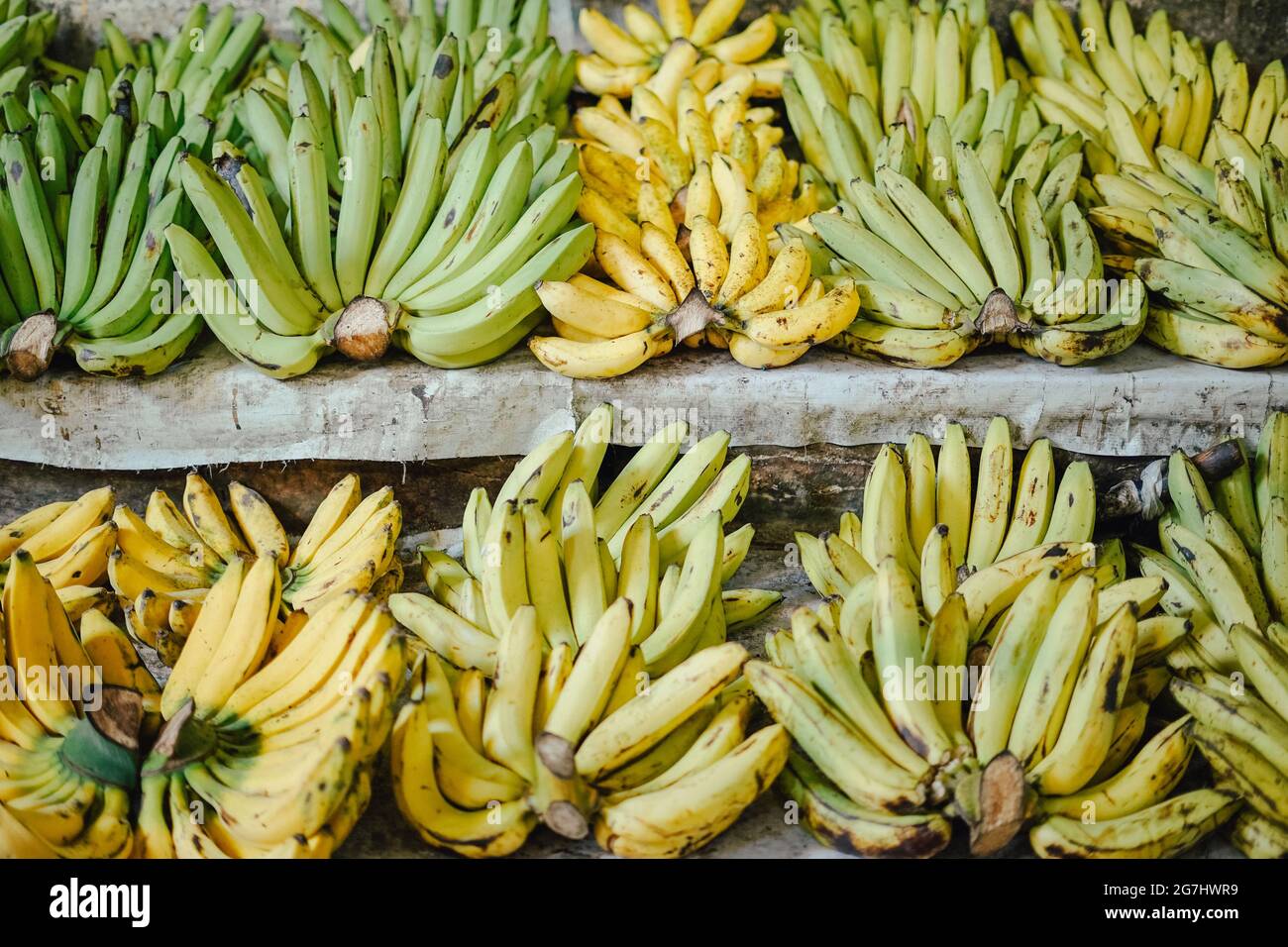 Various types of bananas are sold in traditional markets Stock Photo ...