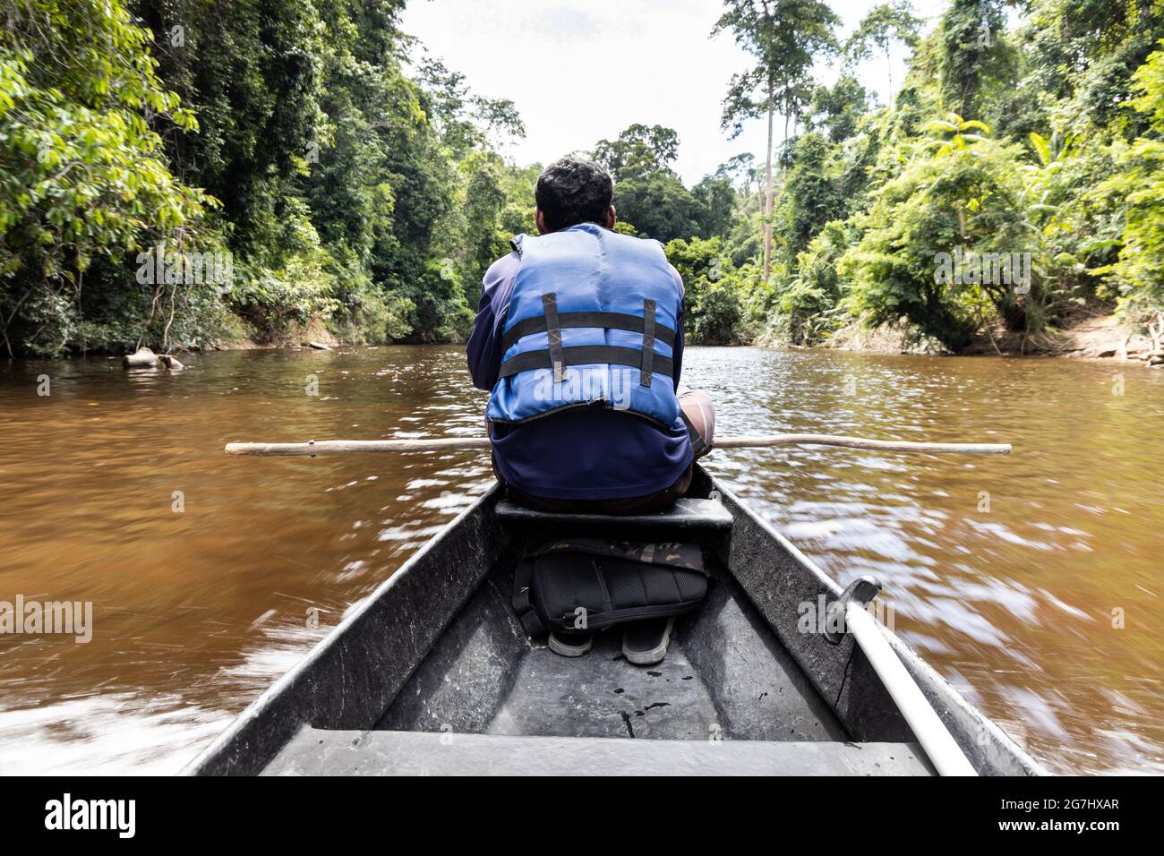 Taman negara river cruise along Tembeling river with lush rainforest ...