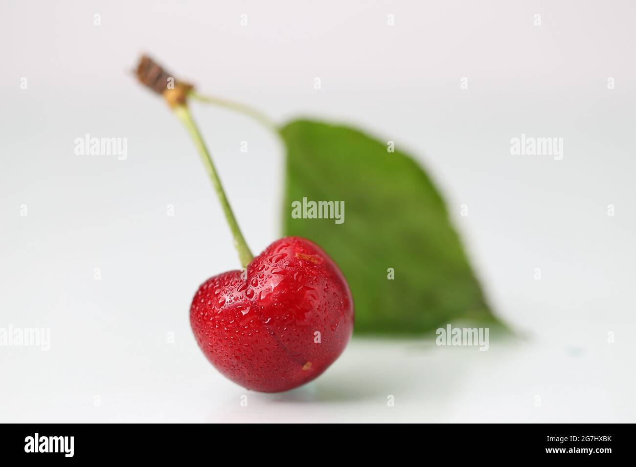 Big cherry on white background Stock Photo - Alamy