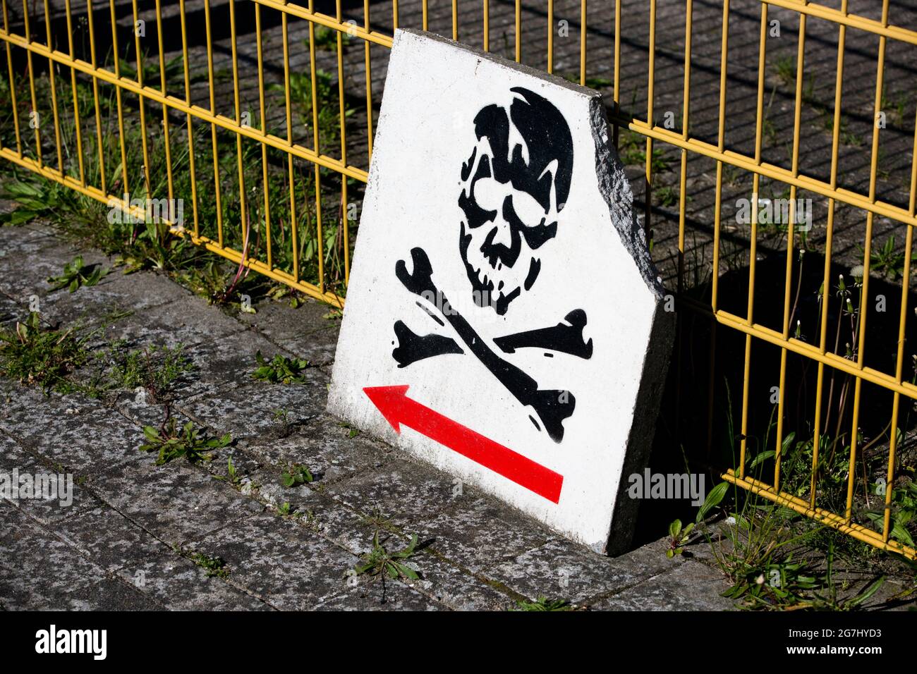 Skull, Pirate Sign On A Shield With Directional Arrow. Pirate S Nest ...