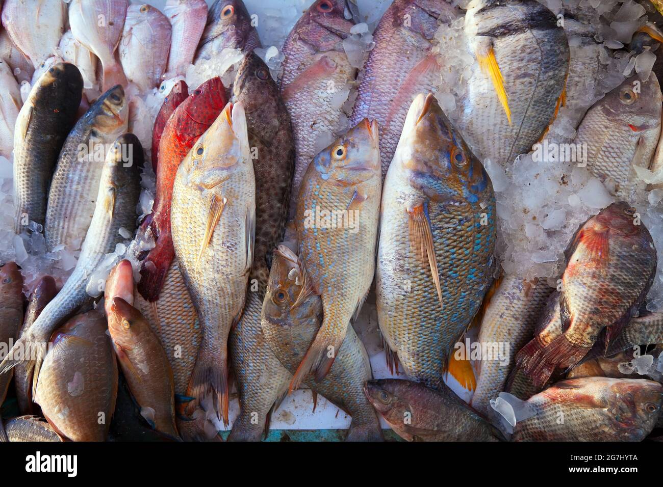 Raw fish on market counter Stock Photo - Alamy