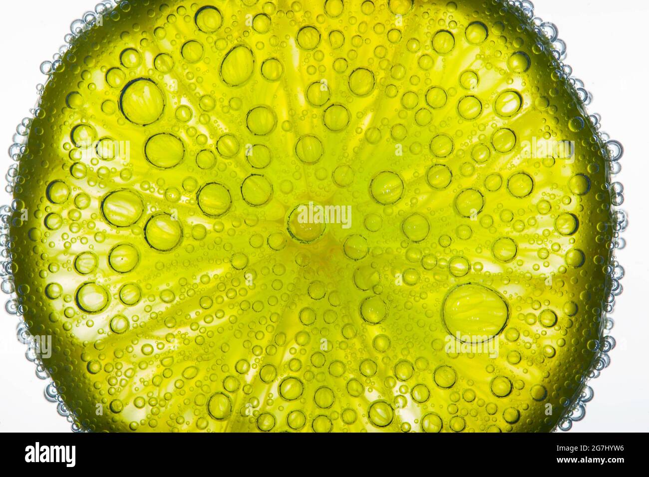 Close-up of air bubbles covering slice of juicy lime floating in water Stock Photo - Alamy