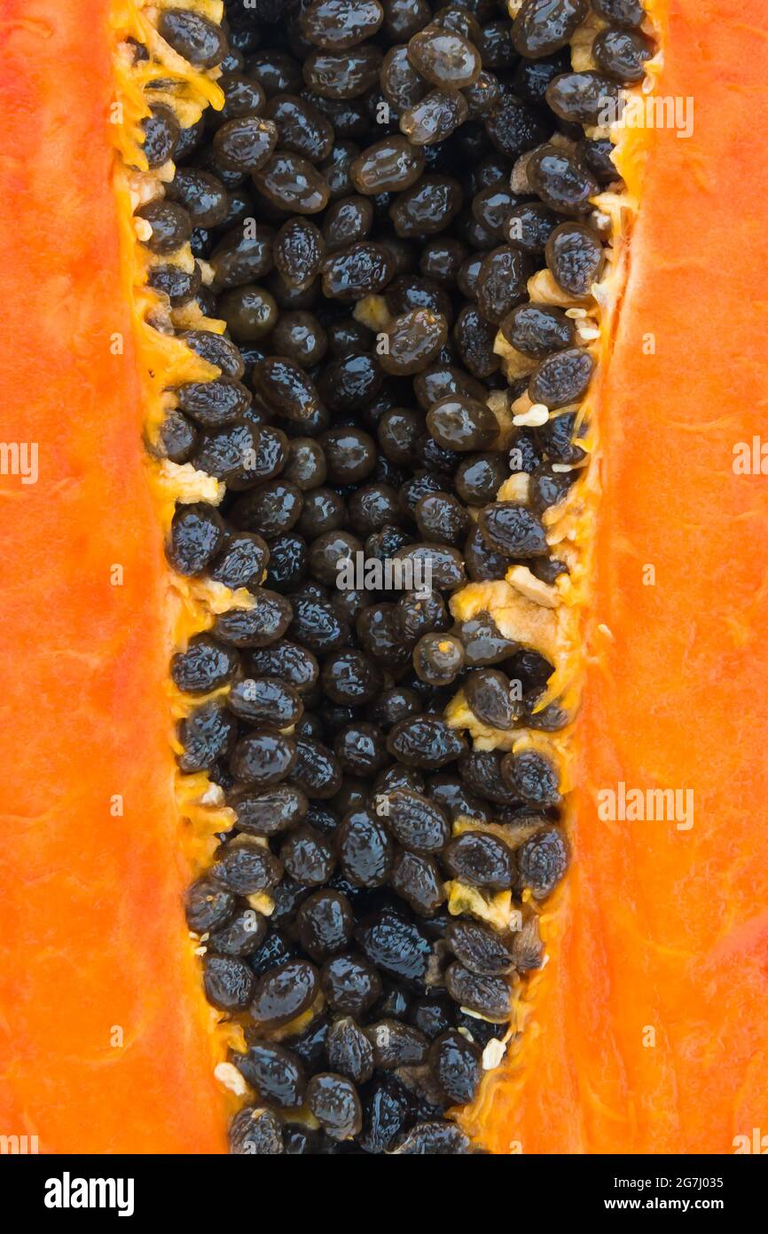 Papaya fruit textures background Stock Photo - Alamy