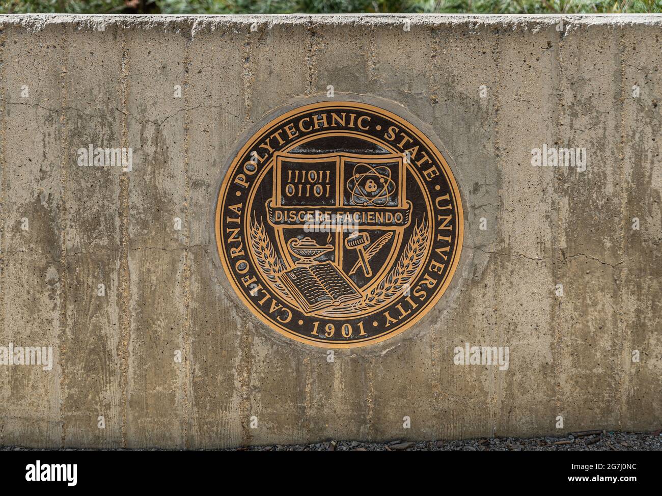 Seal on wall hi-res stock photography and images - Alamy